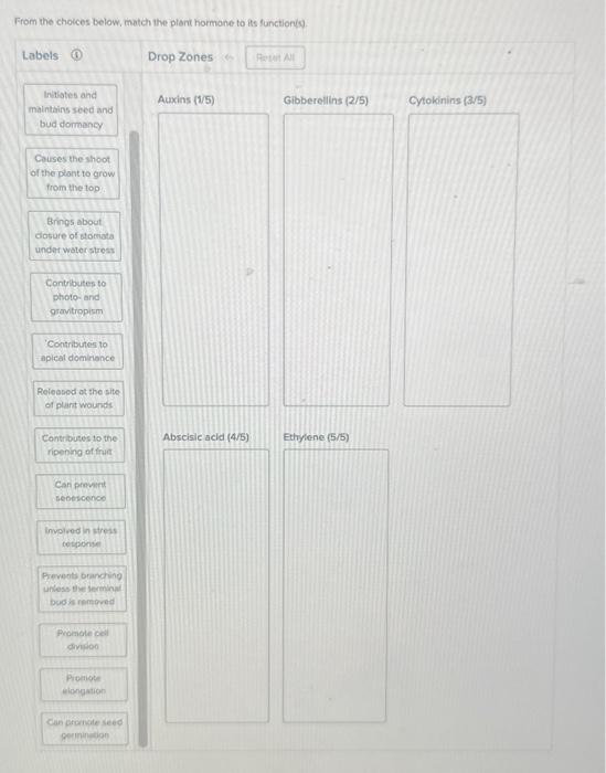 Classify the following characteristics to describe | Chegg.com