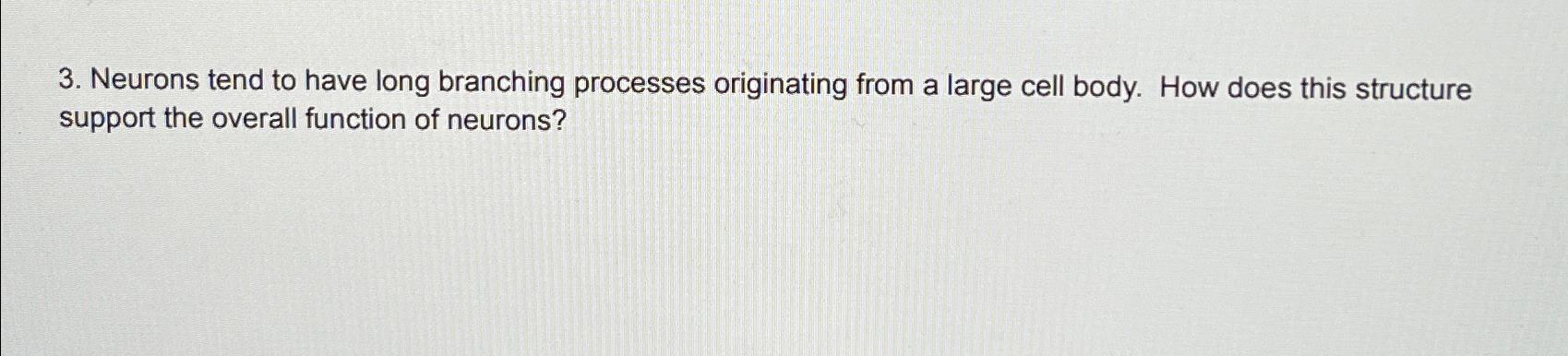 Solved Neurons tend to have long branching processes | Chegg.com