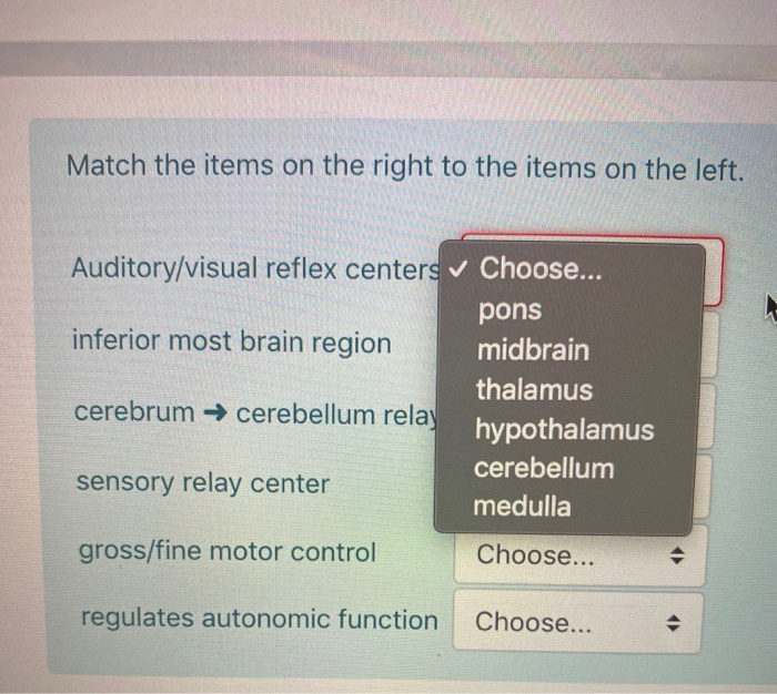 Solved Match the items on the right to the items on the | Chegg.com
