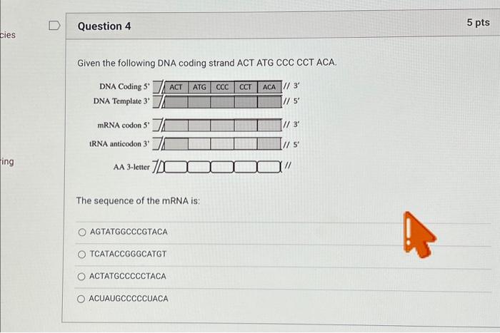 Solved Question 4 Given the following DNA coding strand ACT | Chegg.com