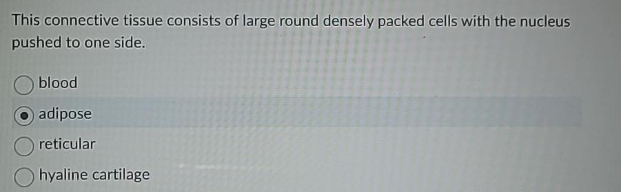 Solved This connective tissue consists of large round | Chegg.com