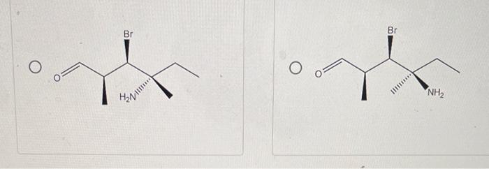 Solved Select the perspective formula which correctly | Chegg.com
