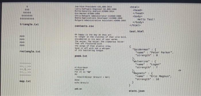 Solved 5 555 55555 555555$ SSSSSSSSS triangle.txt nnn nnn | Chegg.com