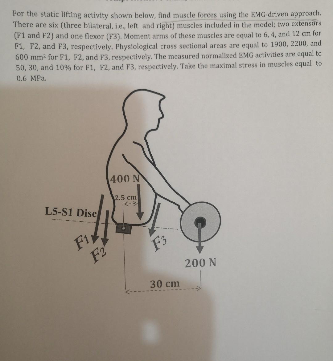 For the static lifting activity shown below, find | Chegg.com