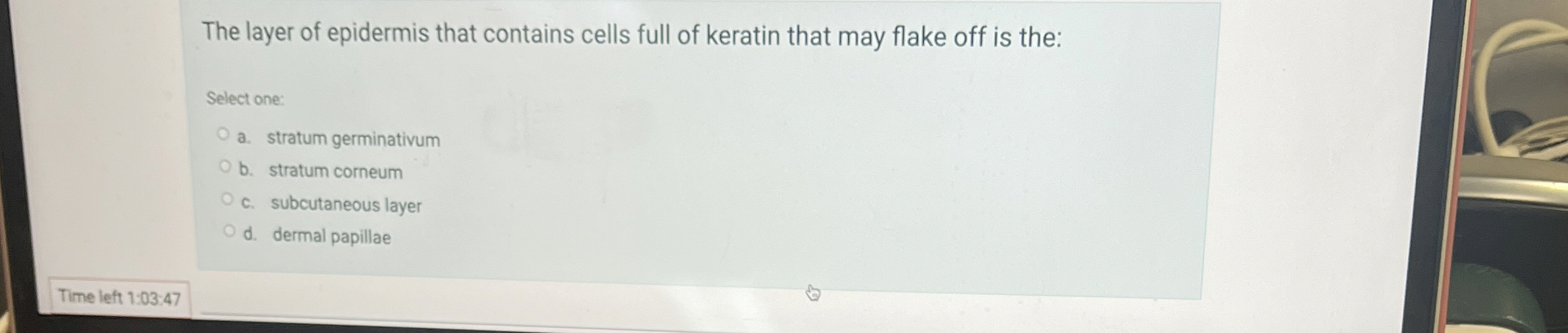 Solved The layer of epidermis that contains cells full of | Chegg.com