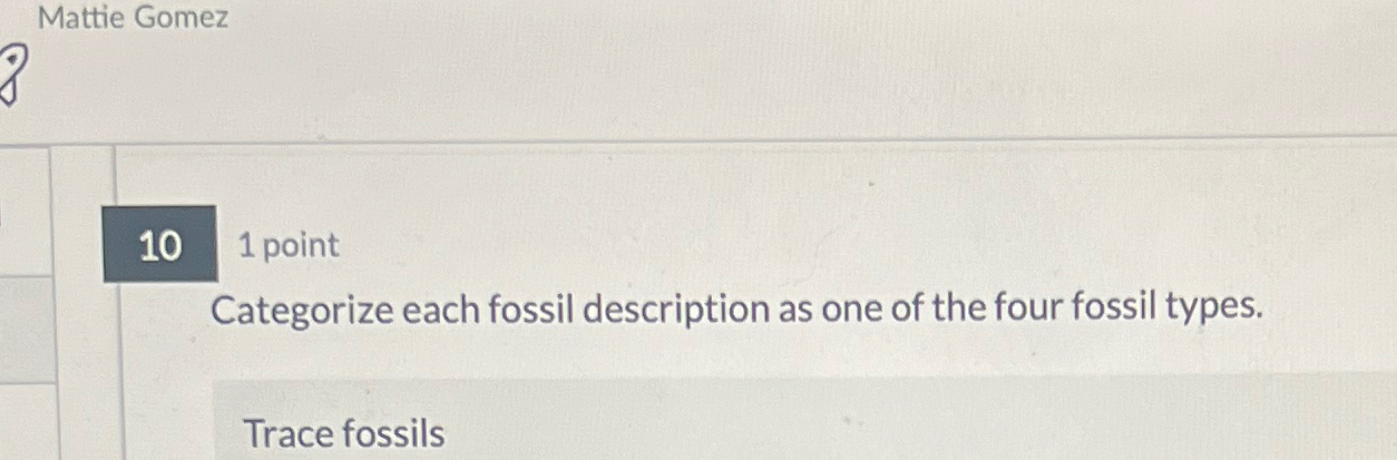 Solved Mattie Gomez1 ﻿pointCategorize each fossil | Chegg.com