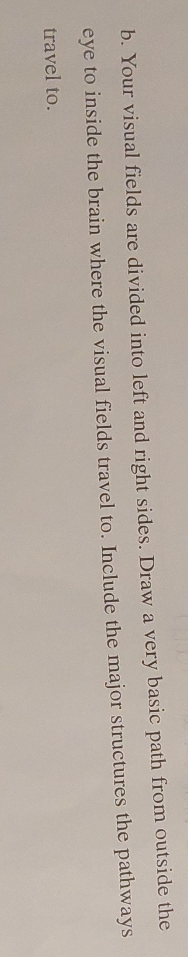 Solved b. ﻿Your visual fields are divided into left and | Chegg.com