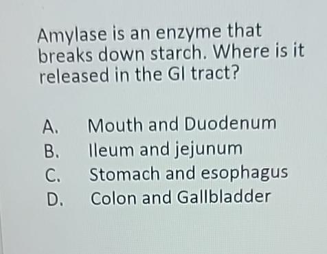 Solved Amylase is an enzyme that breaks down starch. Where | Chegg.com