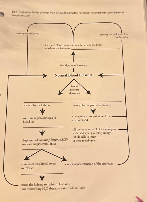 Solved Fill in the blanks for the concept map below | Chegg.com