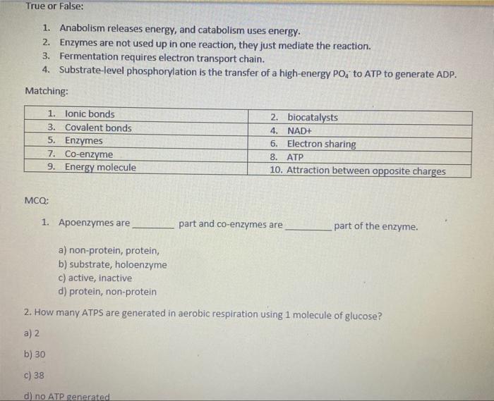 Solved 1. Anabolism releases energy, and catabolism uses | Chegg.com