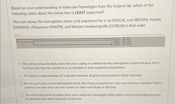 Solved Based on your understanding of molecular homologies | Chegg.com