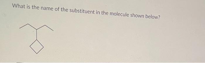Solved What is the name of the substituent in the molecule | Chegg.com