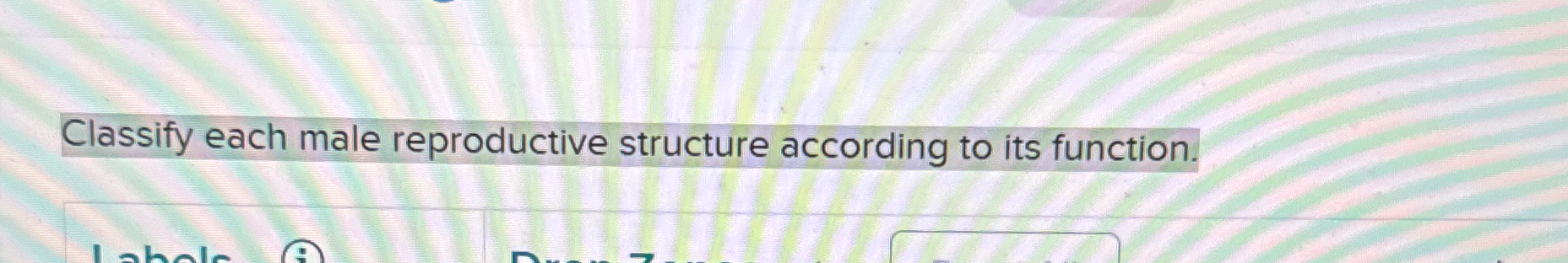 Solved Classify each male reproductive structure according | Chegg.com
