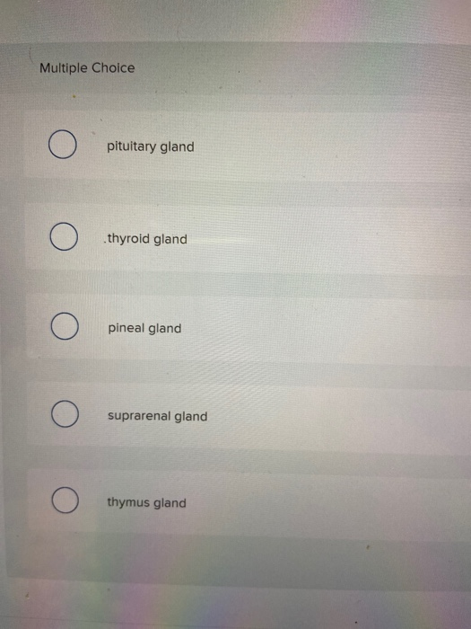 Solved Which structure is highlighted? Multiple Choice O | Chegg.com