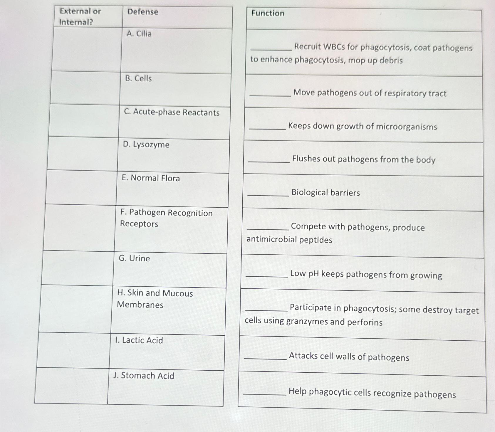 Solved \table[[\table[[External | Chegg.com