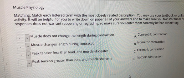 Solved Muscle Physiology Matching: Match each lettered term | Chegg.com