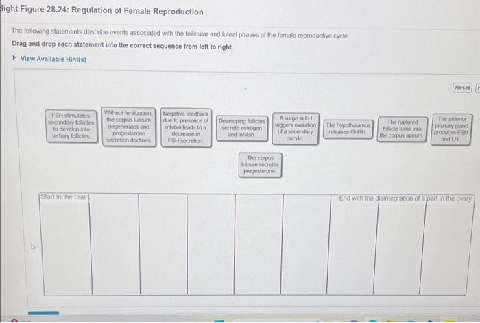 Solved light Figure 28.24: Regulation of Female Reproduction | Chegg.com