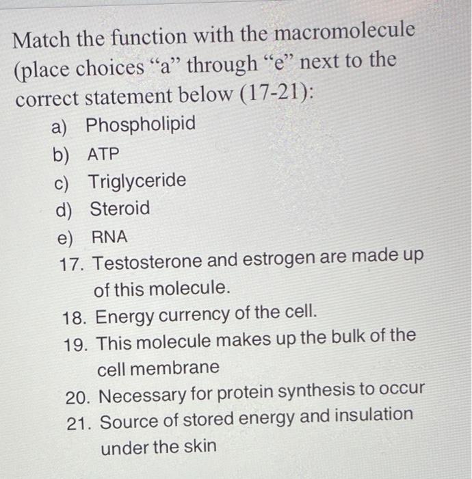 Solved Match the function with the macromolecule (place | Chegg.com