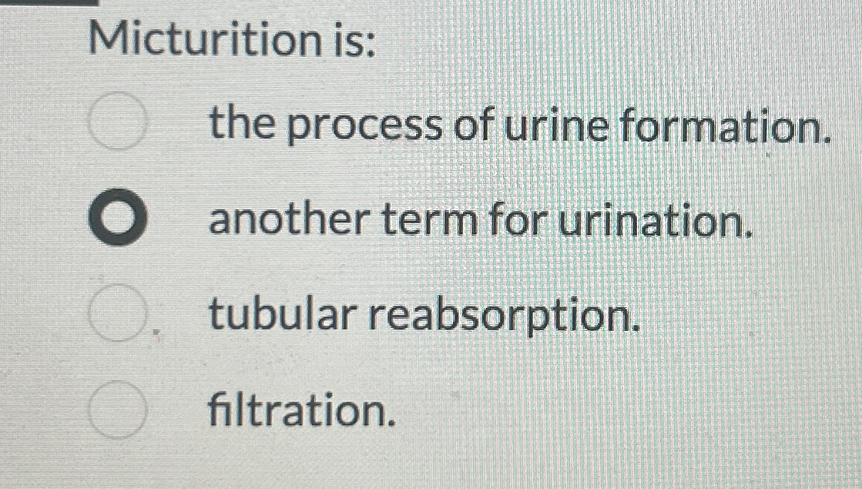 Solved Micturition is:the process of urine formation.another | Chegg.com