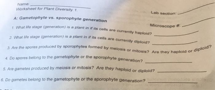 Solved Name Worksheet for Plant Diversity 1. Lab section - | Chegg.com