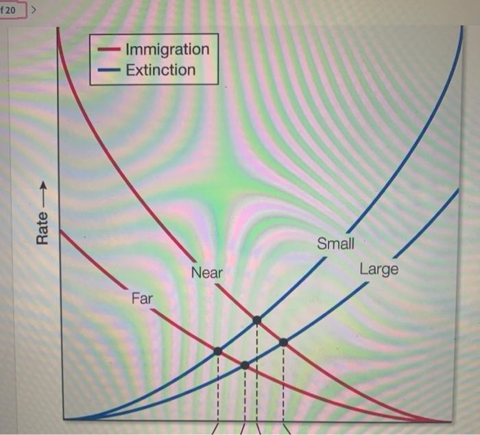 Solved f20 > Immigration Extinction Rate Small Near Large | Chegg.com