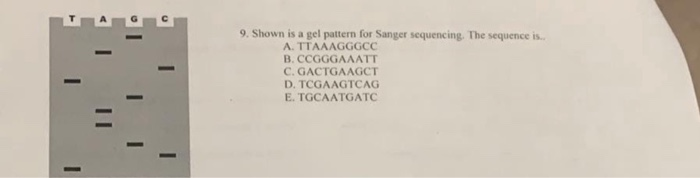 Solved 9. Shown is a gel pattern for Sanger sequencing. The | Chegg.com