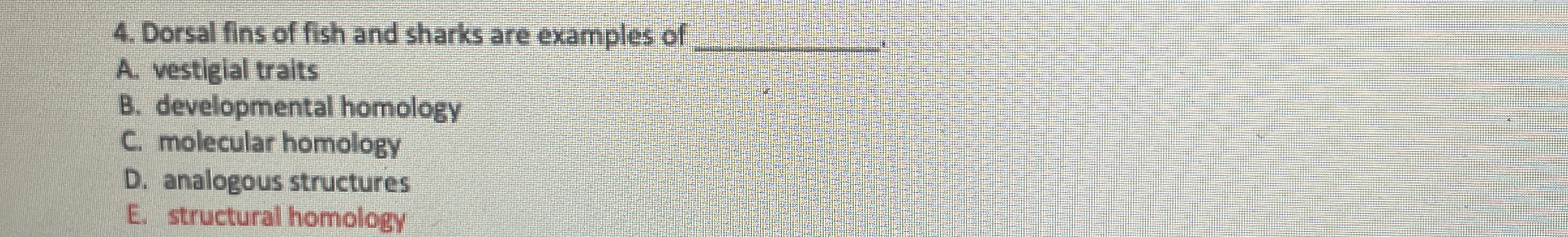 Solved Dorsal fins of fish and sharks are examples ofA. | Chegg.com