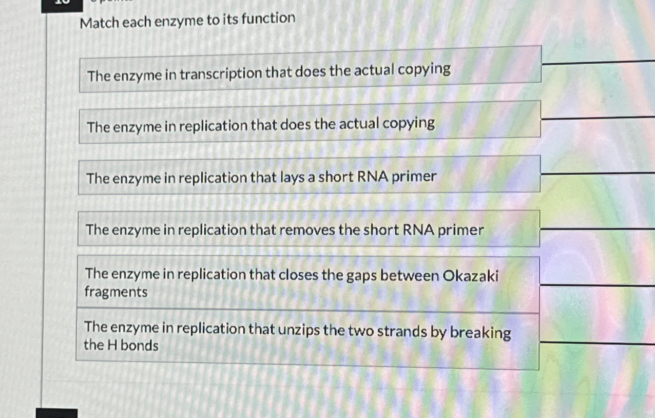 Solved Match each enzyme to its functionThe enzyme in | Chegg.com