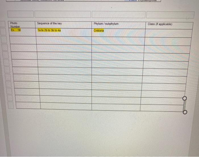 Section 2: Dichotomous key of Invertebrates (optional | Chegg.com
