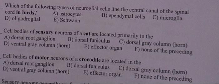 Solved Which of the following types of neuroglial cells line | Chegg.com