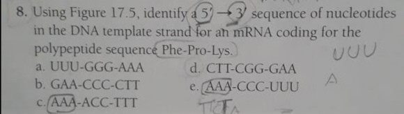 Solved 8. Using Figure 17.5, identify a 5) — 3 sequence of | Chegg.com