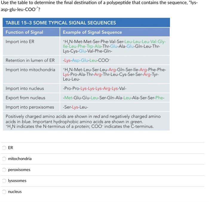 Solved New proteins synthesized by free ribosomes in the | Chegg.com
