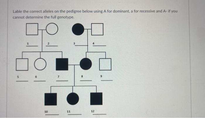Solved Lable the correct alleles on the pedigree below using | Chegg.com