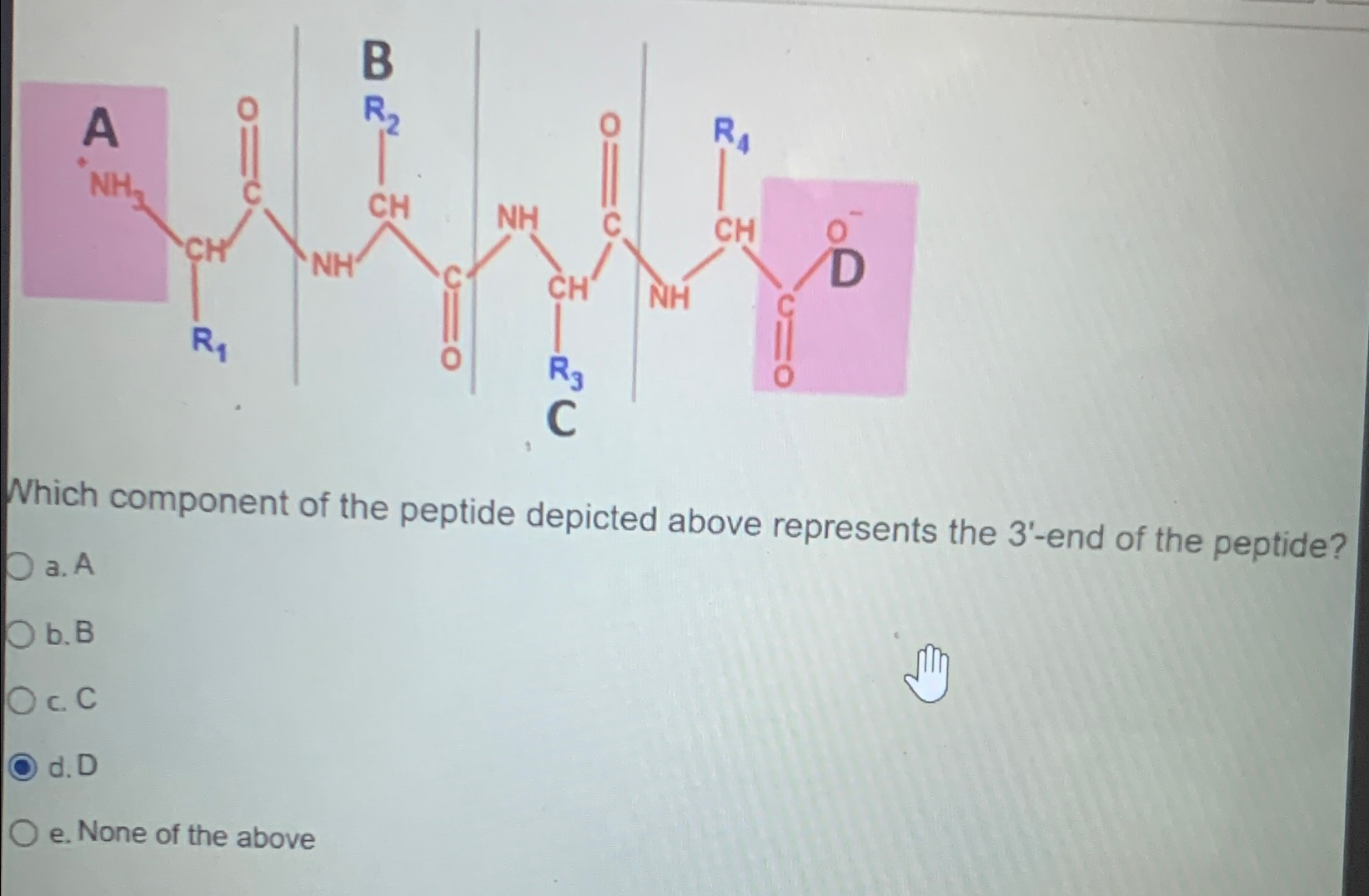 Solved Which component of the peptide depicted above | Chegg.com