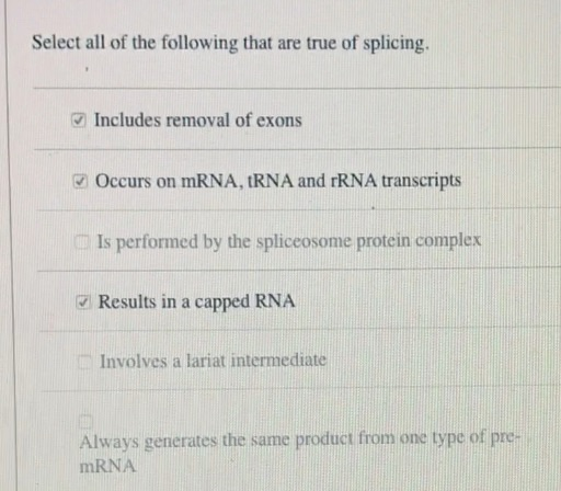 Solved RNA transcripts are ... Made antiparallel to the DNA | Chegg.com