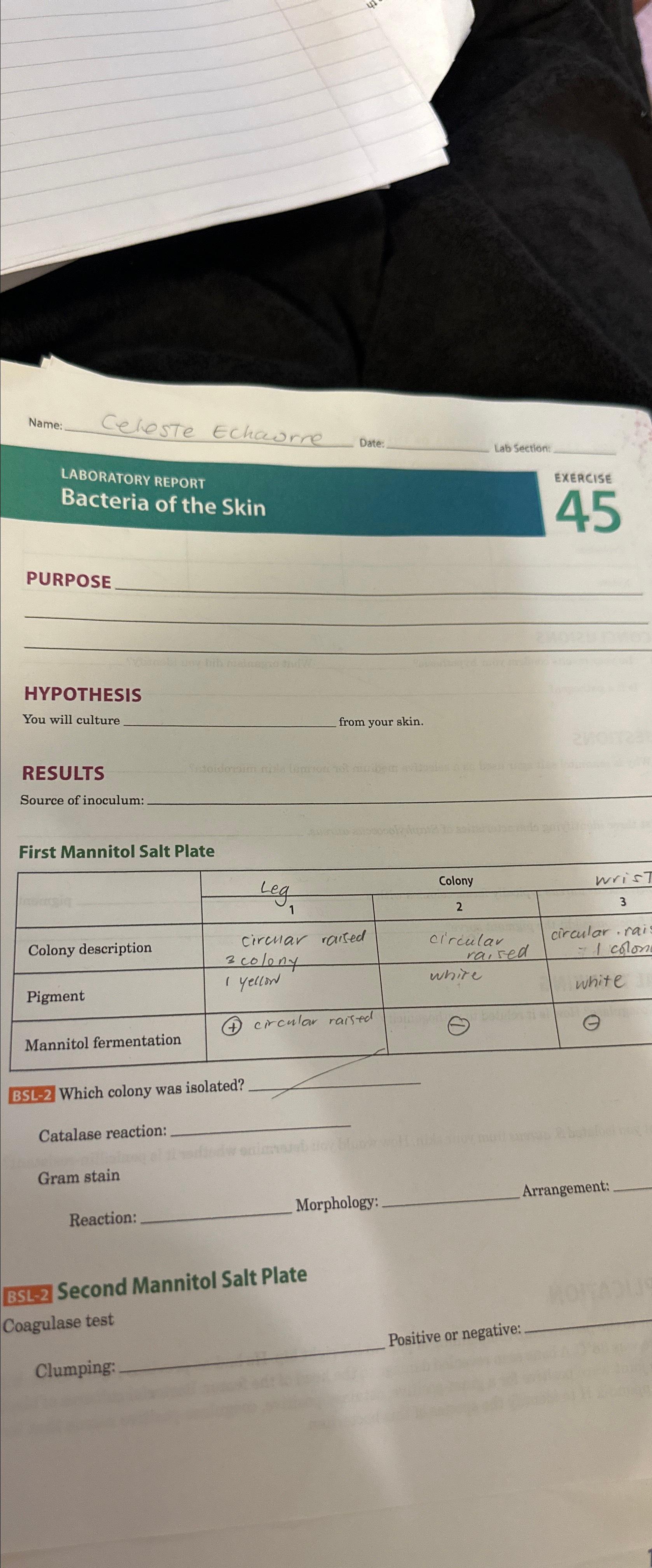 Name:Ceheste Echawrre DateLab section:LABORATORY | Chegg.com