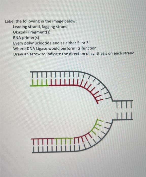 Solved Label the following in the image below: Leading | Chegg.com