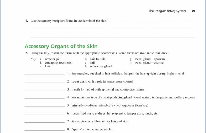Solved The Integumentary System 89 6. List the sensory | Chegg.com