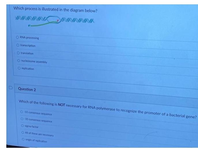 Solved Which process is illustrated in the diagram below?RNA | Chegg.com