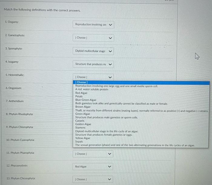 Solved Match the following definitions with the correct | Chegg.com