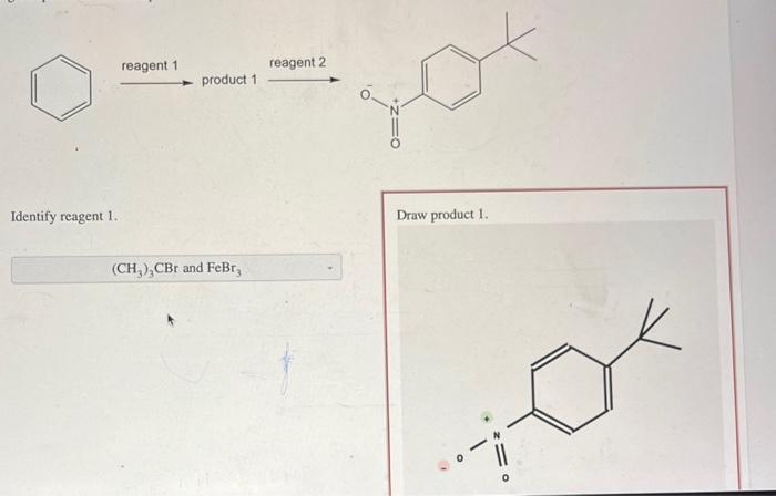 Solved Draw the major organic product(s) for the | Chegg.com