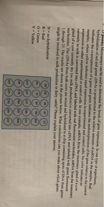 Solved a points) Microarrays can be used to determine the | Chegg.com