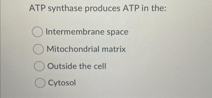 Solved ATP synthase produces ATP in the: Intermembrane space | Chegg.com