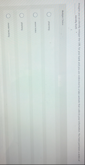 Solved Imagine you accidently mistype the URL. for your bank | Chegg.com