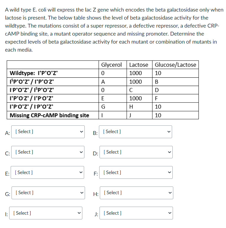 Solved A wild type E. ﻿coli will express the lac Z gene | Chegg.com