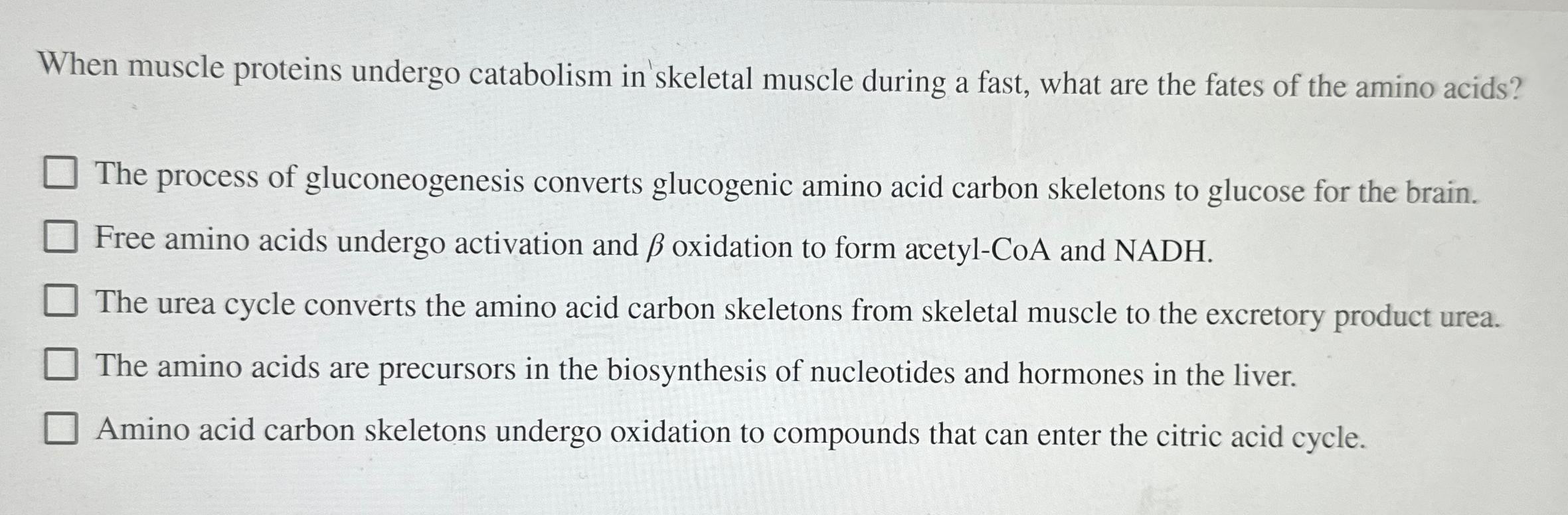 Solved When muscle proteins undergo catabolism in 'skeletal | Chegg.com