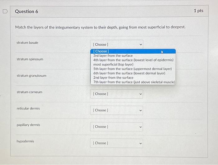 Solved Match the layers of the integumentary system to their | Chegg.com