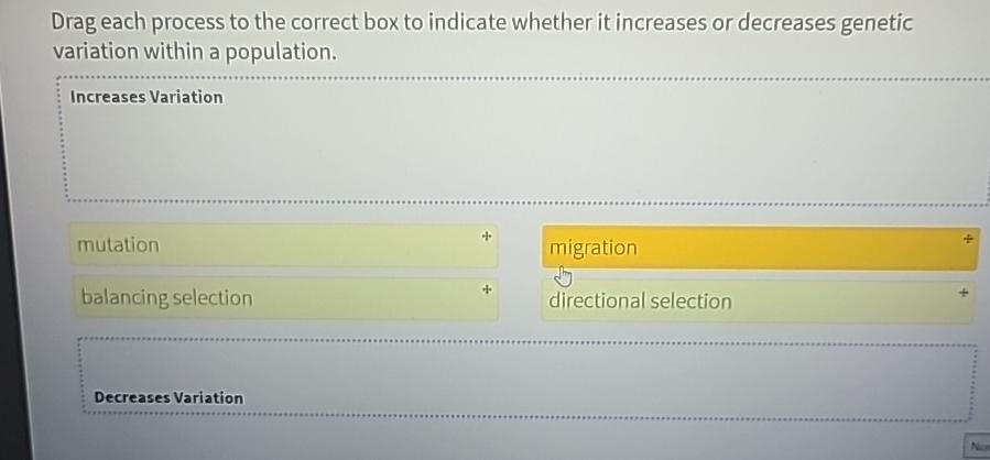 Solved Drag each process to the correct box to indicate | Chegg.com
