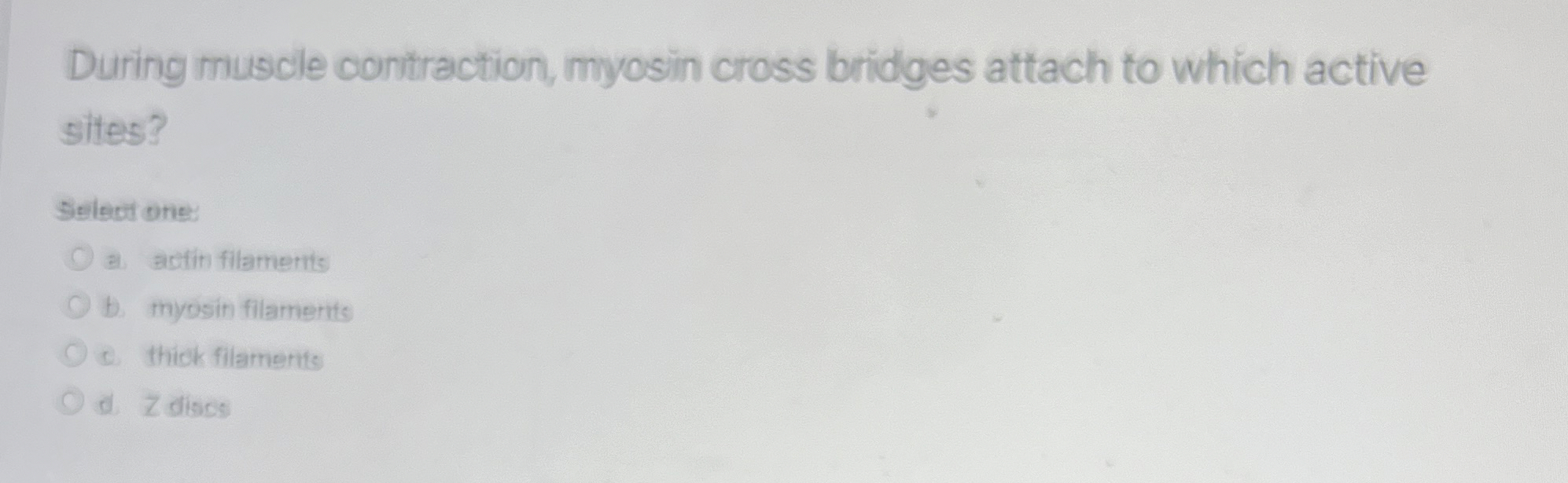 Solved During muscle contraction, myosin cross bridges | Chegg.com