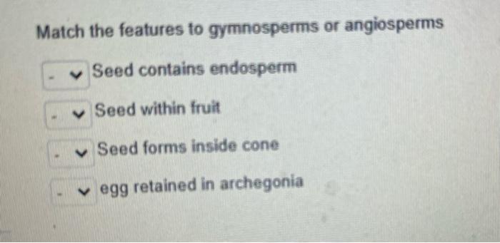 Solved Match the features to gymnosperms or angiosperms | Chegg.com